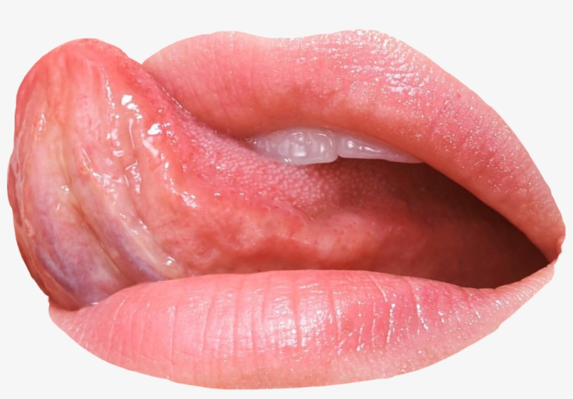 Download Lips Sticker - Lick Stickers | Transparent PNG Download | SeekPNG