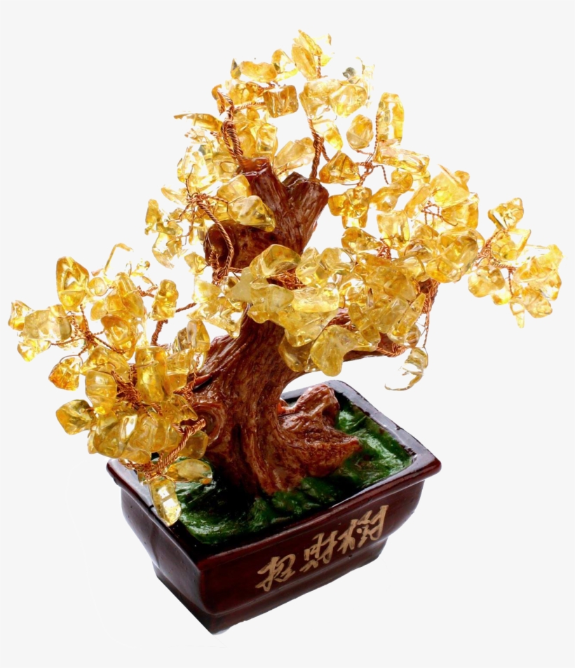 Bonsai Pull Jewelry Tree Lucky To Luck Clipart - Houseplant PNG Image ...