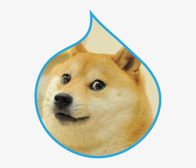 Doge - Doge Excited PNG Image | Transparent PNG Free Download on SeekPNG