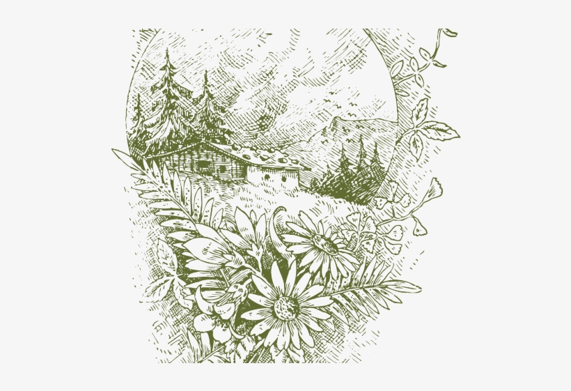 Drawn Floral Vector Png Vintage - Nl Чай Очищающий PNG Image ...