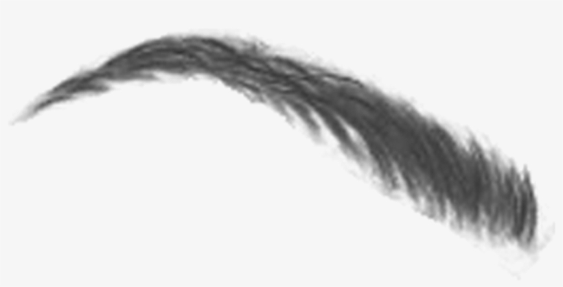 Cejas Sticker - Close-up PNG Image | Transparent PNG Free Download on ...