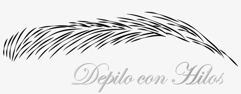 Inicio - Illustration PNG Image | Transparent PNG Free Download on SeekPNG