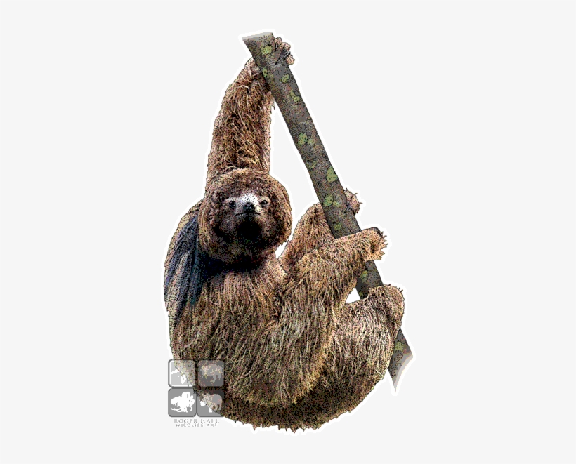 Maned Sloth - Maned Sloth Throw Blanket PNG Image | Transparent PNG ...