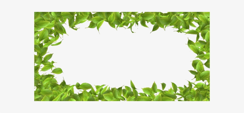 Nature Borders For Project PNG Image | Transparent PNG Free Download on ...