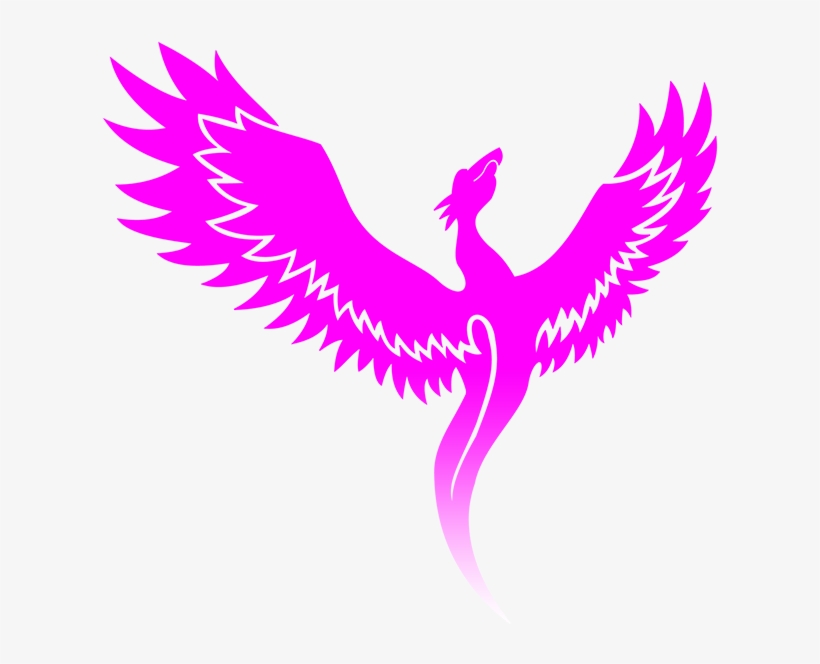 Help Pink Phoenix By Making A Donation - Pink Phoenix PNG Image ...