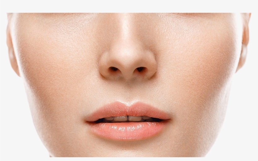 Nose Png Image Background - Transparent Background Png Nose PNG Image ...