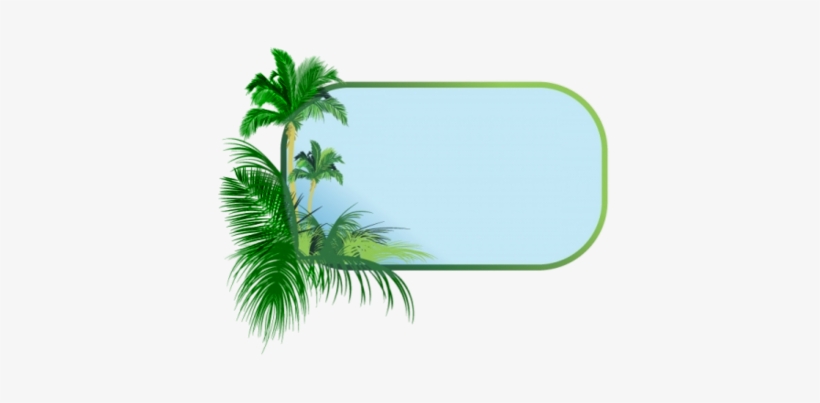 Palm Tree Clipart Border - Tree Border Clipart PNG Image | Transparent ...