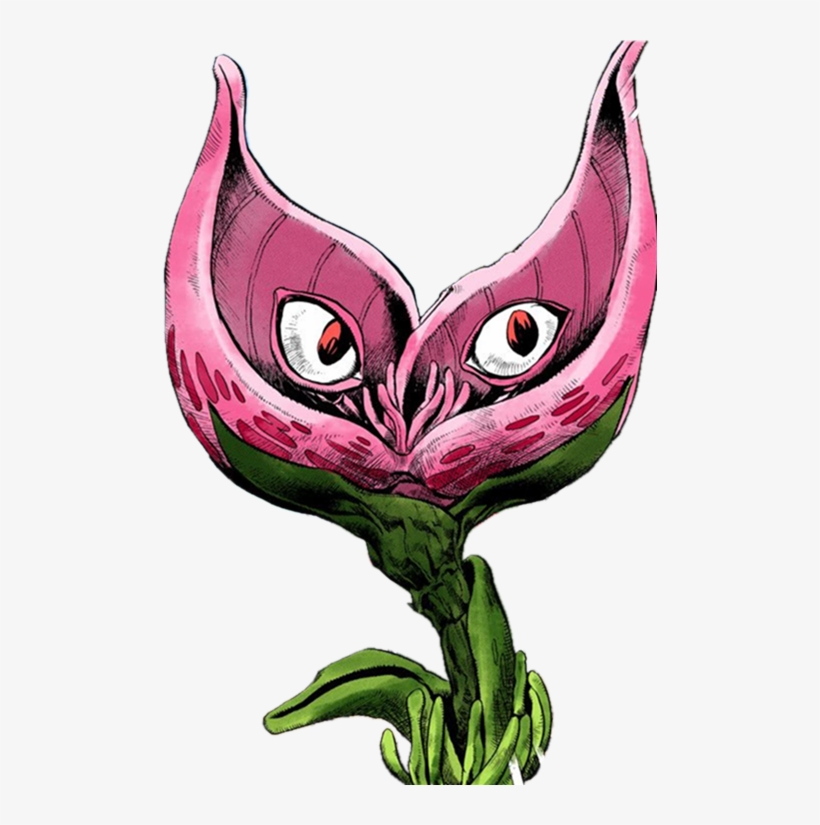 Stray Cat PNG Image | Transparent PNG Free Download on SeekPNG