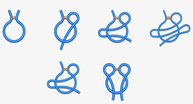 1 Schematic Depiction Of Major Classes Of Lasso Typesfound PNG Image ...