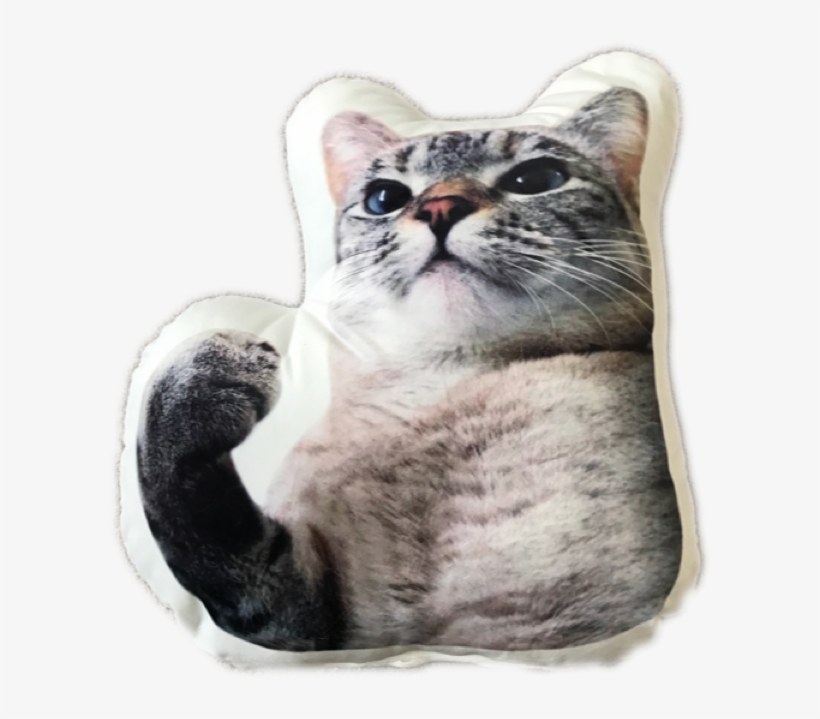 Nala - Cat PNG Image | Transparent PNG Free Download on SeekPNG