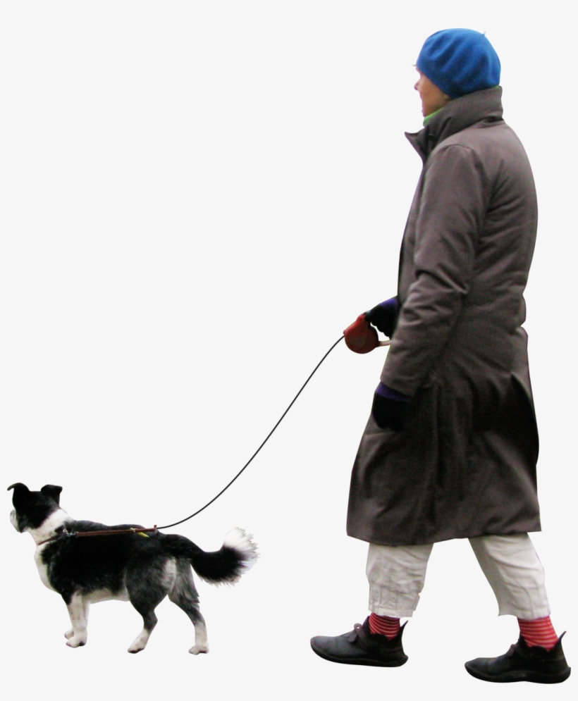 Walking Dog Png PNG Image | Transparent PNG Free Download on SeekPNG