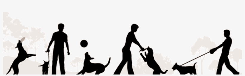 Easy Steps Dog Training And Pet Services - Dog Training PNG Image ...