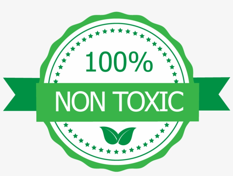 Download Full - Non Toxic Logo Png | Transparent PNG Download | SeekPNG