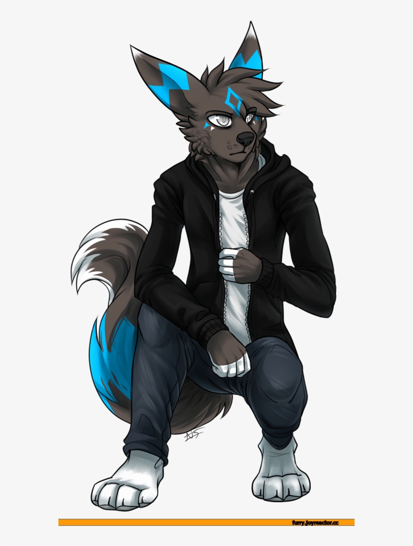 Furry Fandom PNG Image | Transparent PNG Free Download on SeekPNG