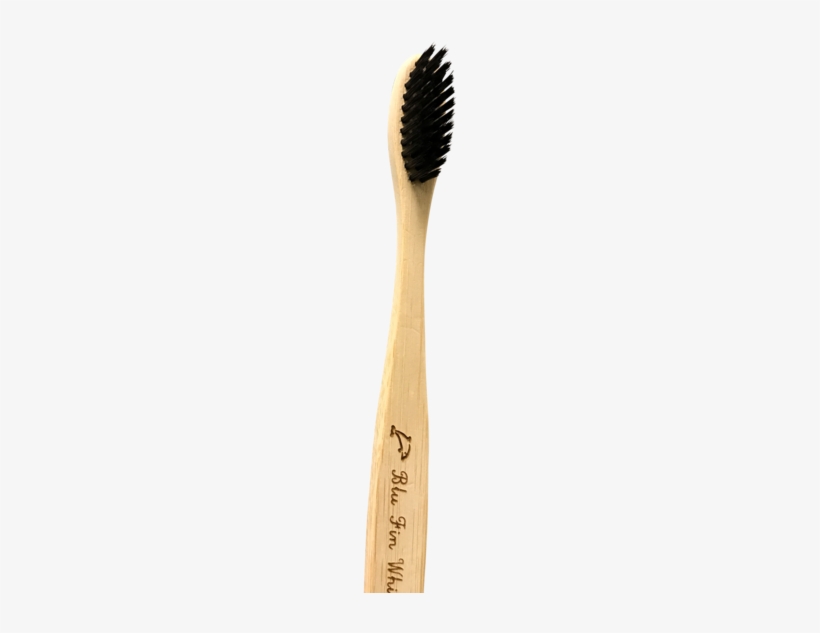 Bamboo Toothbrushes 2 Pack - Toothbrush PNG Image | Transparent PNG ...