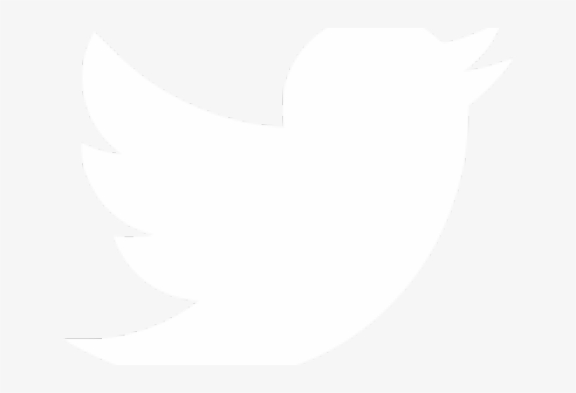 Download Twitter Vector Logo White | Transparent PNG Download | SeekPNG