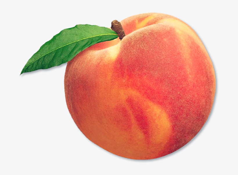 Peach Fruit PNG Image | Transparent PNG Free Download on SeekPNG