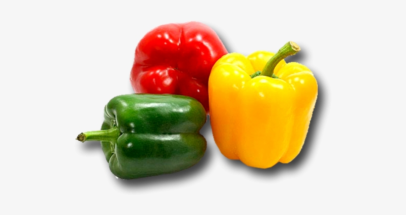 Tri Colour Capsicum - Red Yellow Green Capsicum PNG Image | Transparent ...