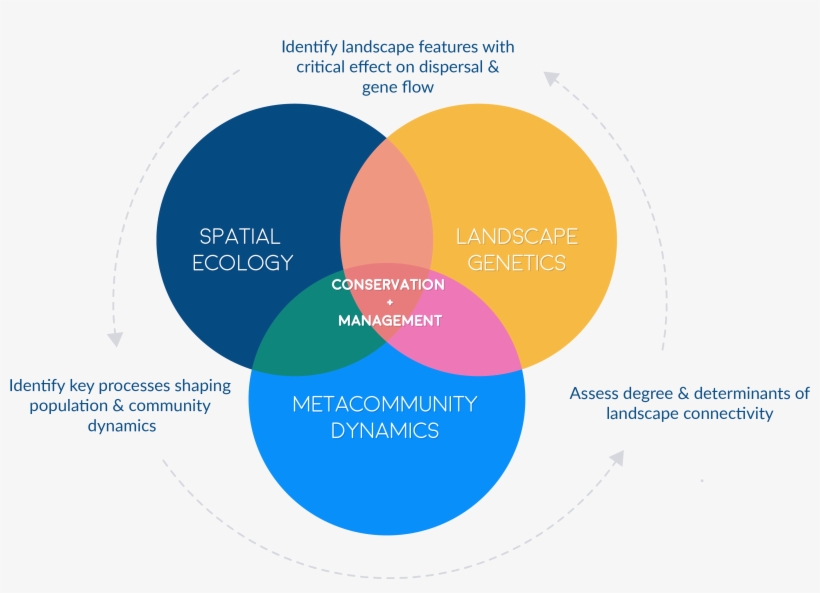 Research Interests - Diagram PNG Image | Transparent PNG Free Download ...