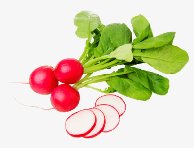 Free Png Download Radis Png Images Background Png Images - Png Редис ...