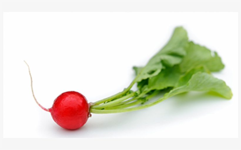 Premium Cherry Baby Radish - Baby Radish PNG Image | Transparent PNG ...