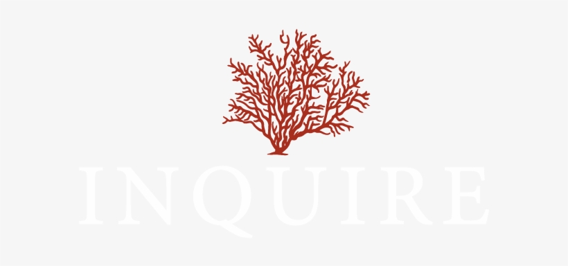 Inquire - Illustration PNG Image | Transparent PNG Free Download on SeekPNG