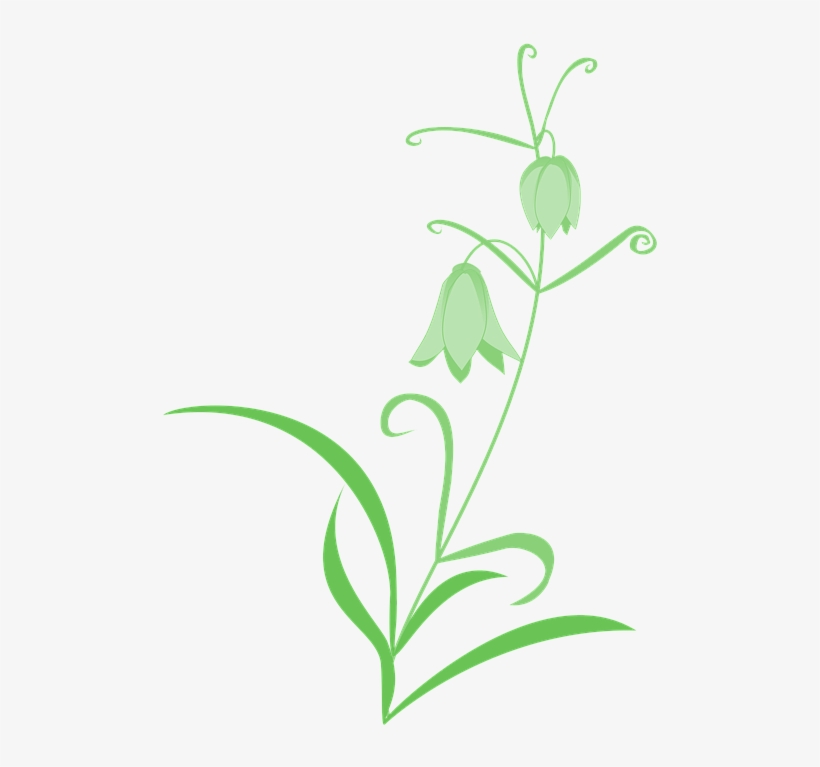Green Flower Png PNG Images | PNG Cliparts Free Download on SeekPNG