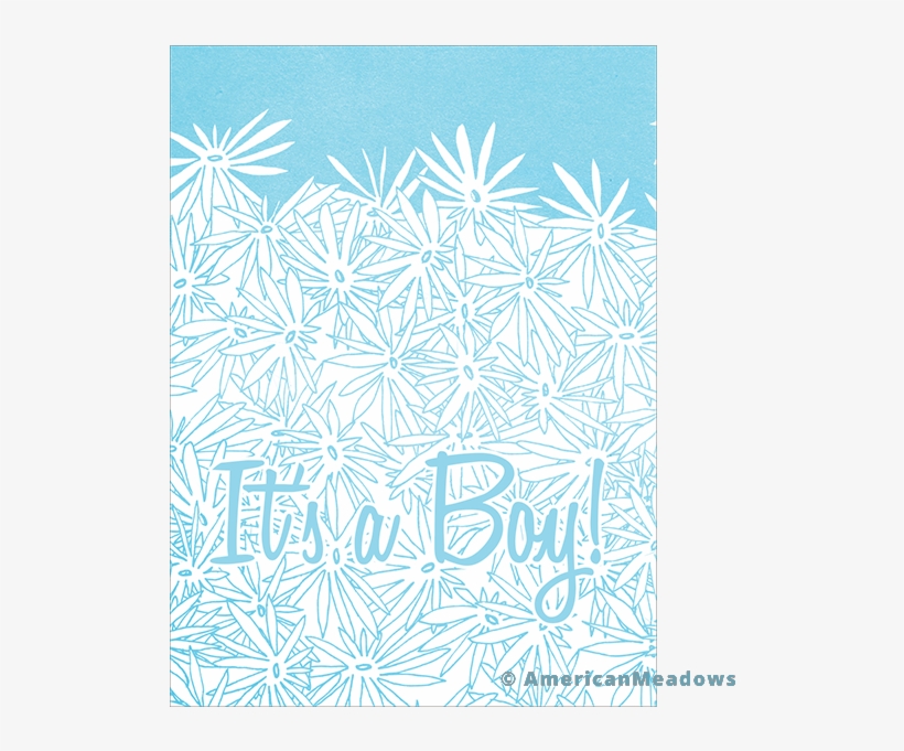 Motif PNG Image | Transparent PNG Free Download on SeekPNG