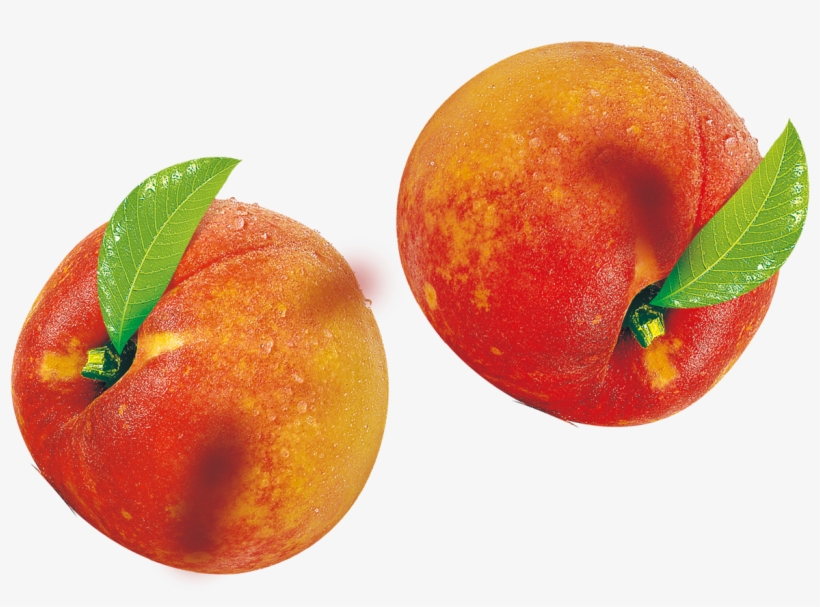 Nectarines PNG Image | Transparent PNG Free Download on SeekPNG