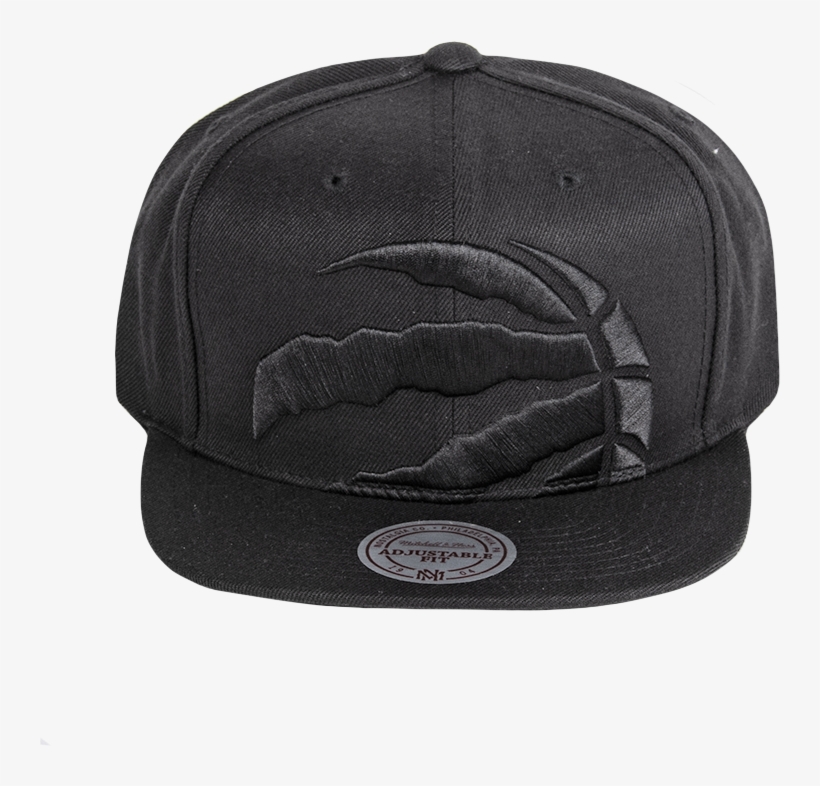 Download Picture Of Nba Toronto Raptors Cropped Xl Logo Snapback - Men ...