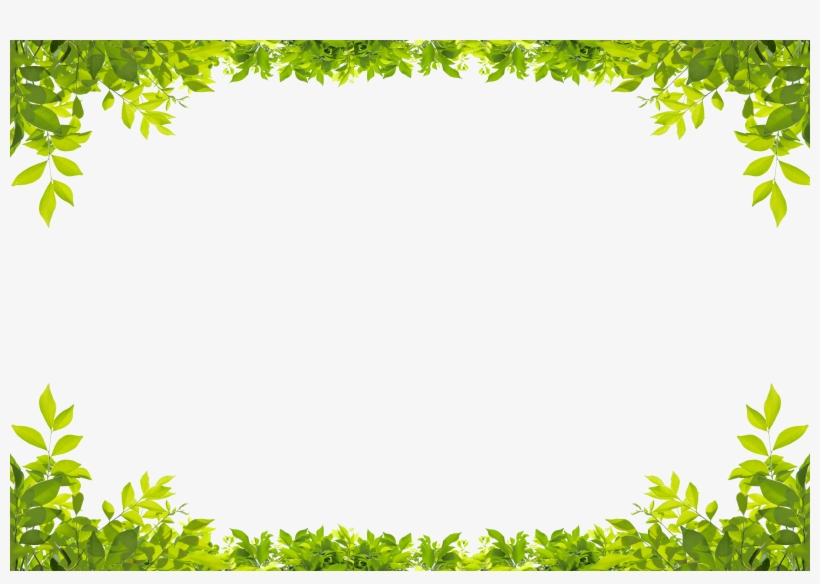 Leaf Border Png