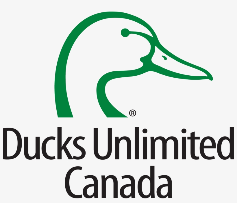 Especially In Low-lying Areas Protected By Dikes,” - Ducks Unlimited ...