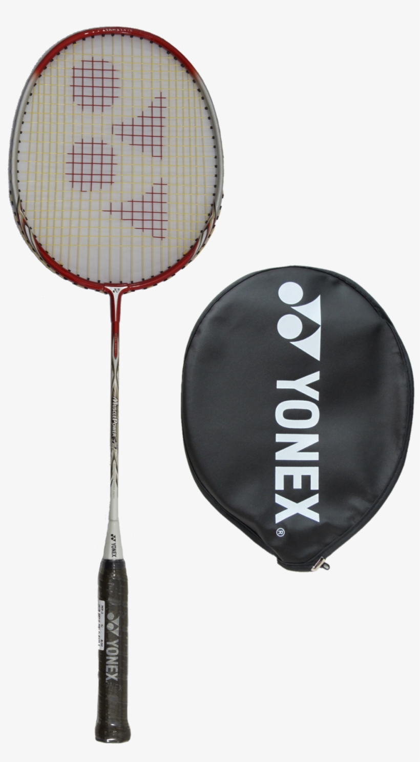 You May Also Like PNG Image | Transparent PNG Free Download on SeekPNG