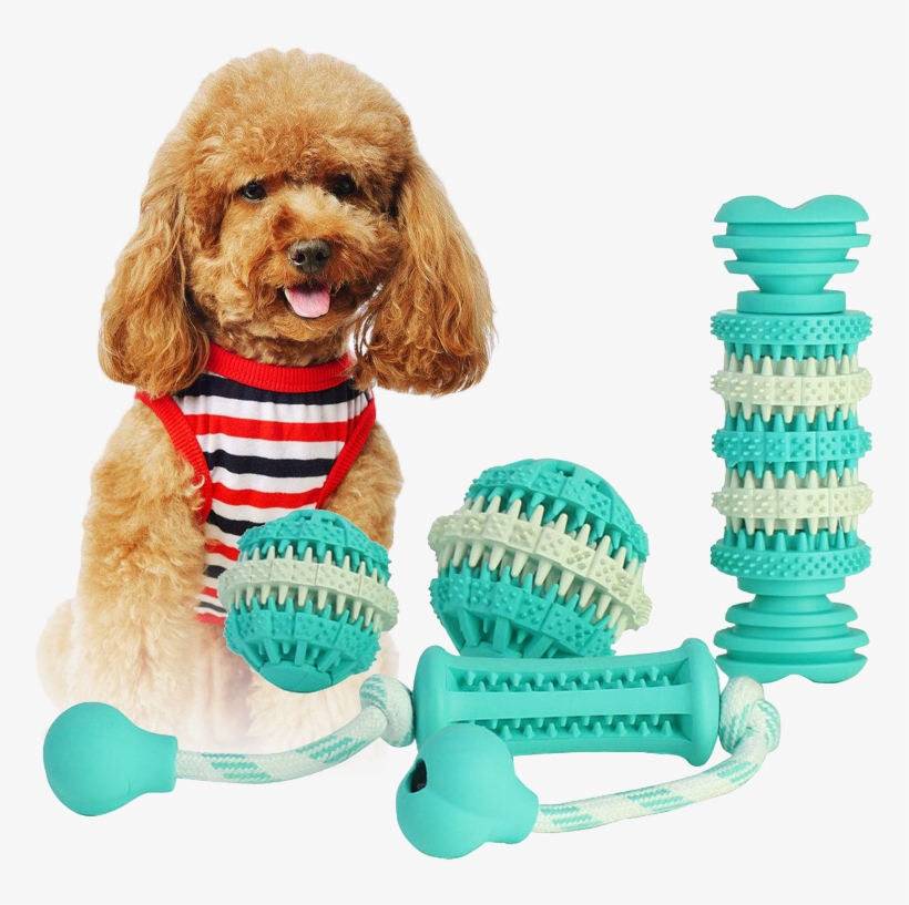Pedi Bear Petenjoy Pet Dog Toys Biting Molar Sticks - Toy Poodle PNG ...