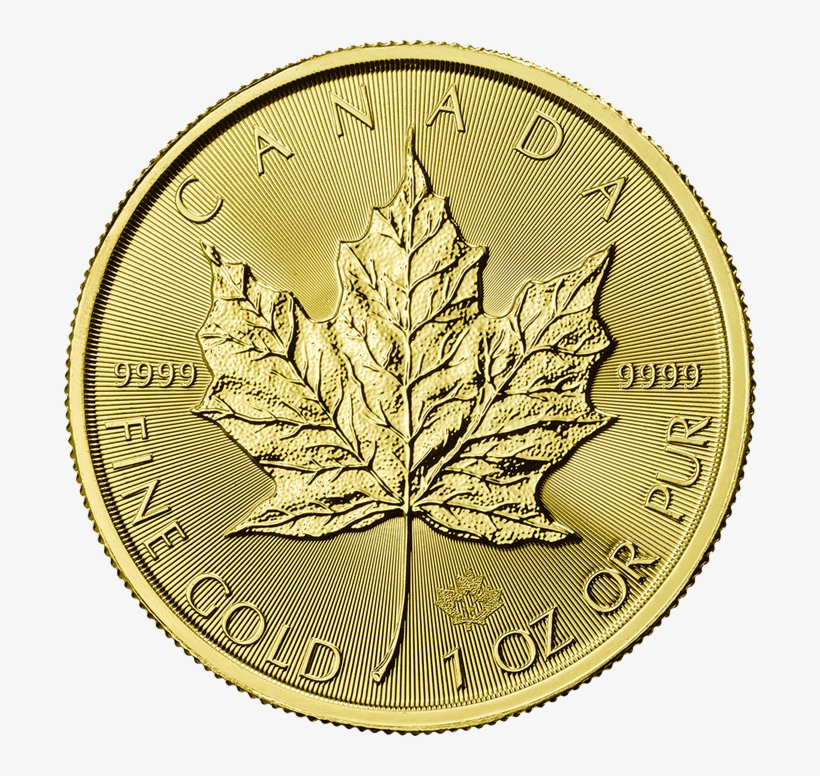 Canadian Gold Maple Leaf PNG Image | Transparent PNG Free Download on ...