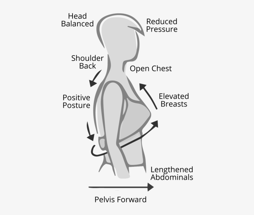 Ewa Michalak, Plus Size Model, Plus Size Lingerie, - Drawing PNG Image ...