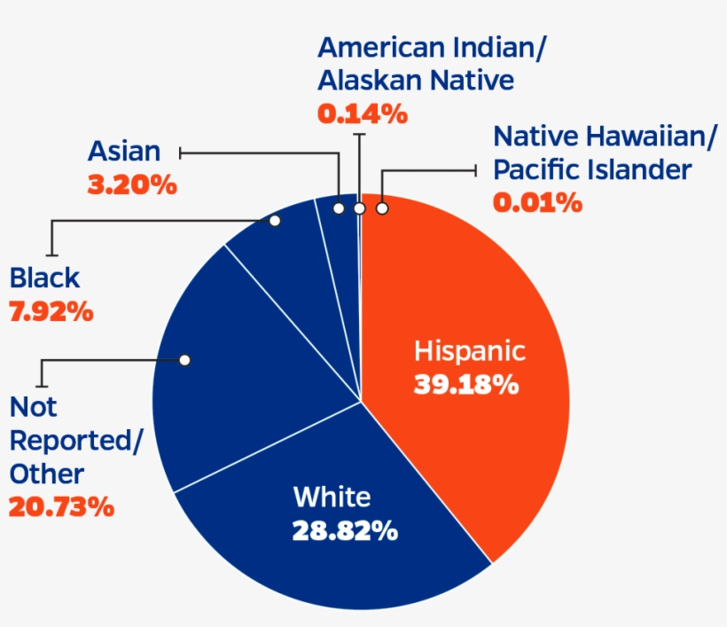 Ethnicity - Diagram PNG Image | Transparent PNG Free Download on SeekPNG