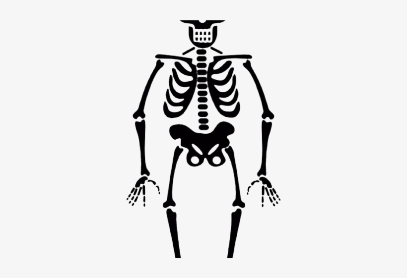 Download Skeleton Png Transparent Images - Transparent Skeleton ...