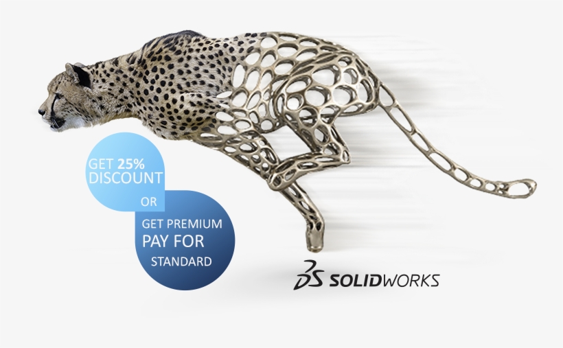 585 Baxter Campaign - Cheetah Drawing In 3d PNG Image | Transparent PNG ...