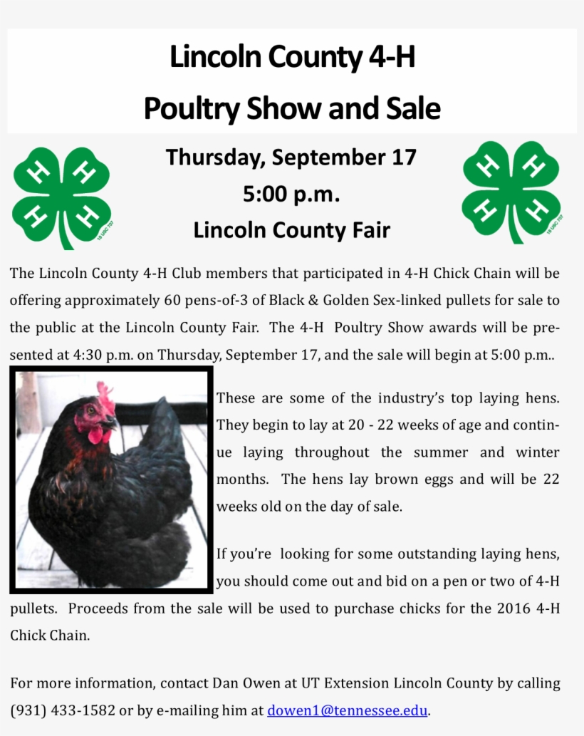2015 Poultry Show And Sale Flyer - 4 H Clover PNG Image | Transparent ...