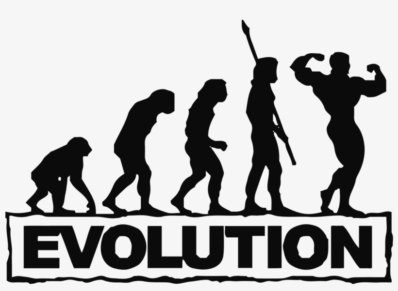 Gym Sports Wall Decal Bodybuilding Fitness Evolution - Evolution ...