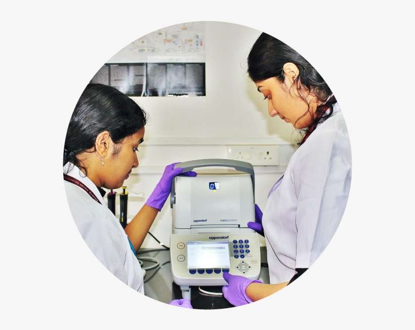 Research - Nurse PNG Image | Transparent PNG Free Download on SeekPNG