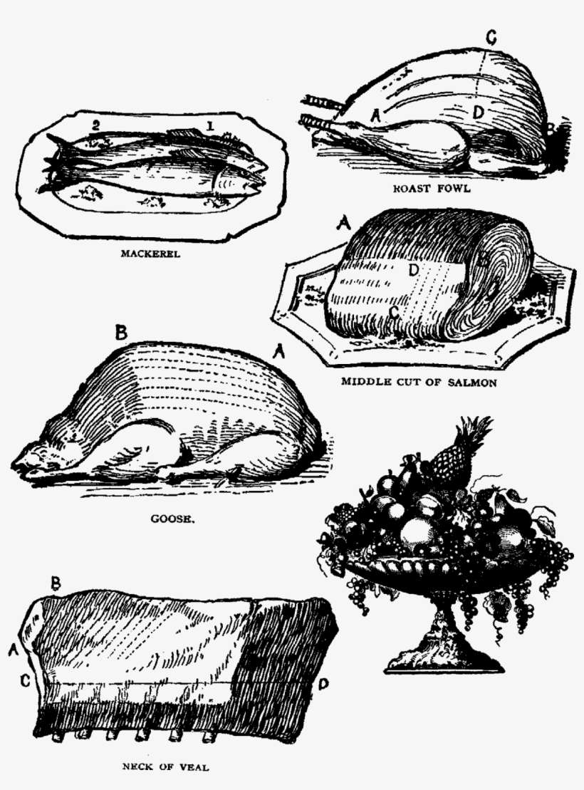 Printable Food Collage Sheet Download Meat Fish Fruit - Sketch PNG ...