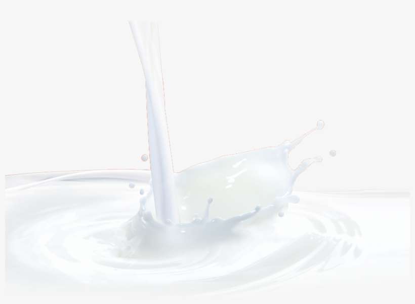 Still Life Photography PNG Image | Transparent PNG Free Download on SeekPNG