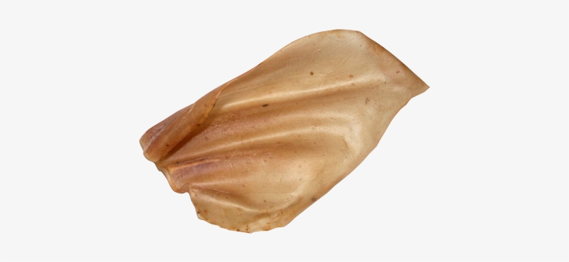 Download Cow Ears - Ear Of Cow | Transparent PNG Download | SeekPNG