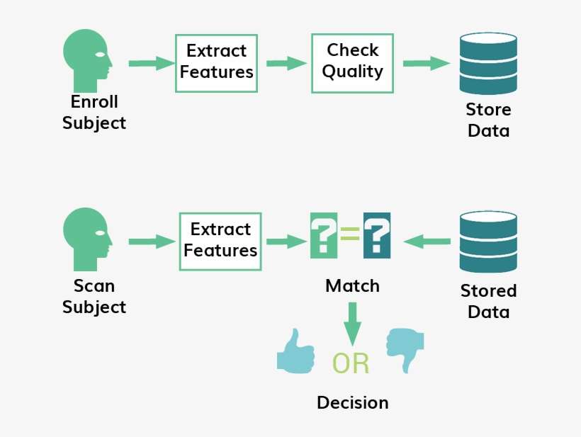 Biometric Enrollment And Authentication - Diagram PNG Image ...