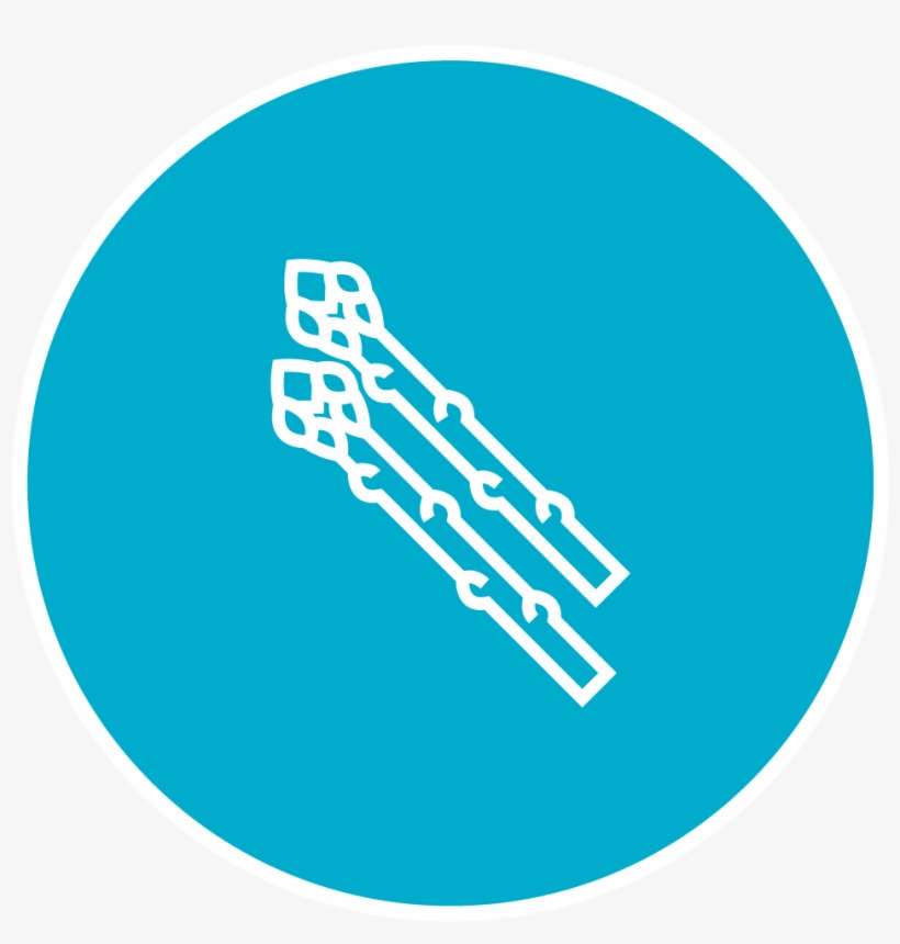 Icon - Rotary Peace Area Of Focus PNG Image | Transparent PNG Free ...