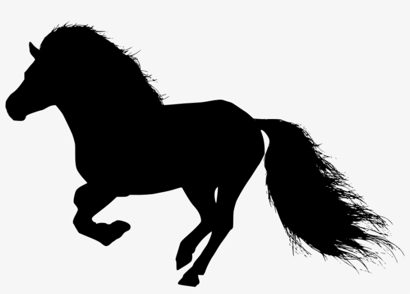 Download Png - Stallion PNG Image | Transparent PNG Free Download on ...