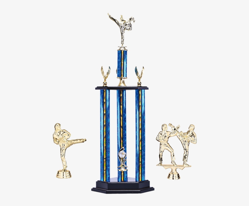 Available With Marble, Wood & Plastic Bases - Trophy PNG Image ...