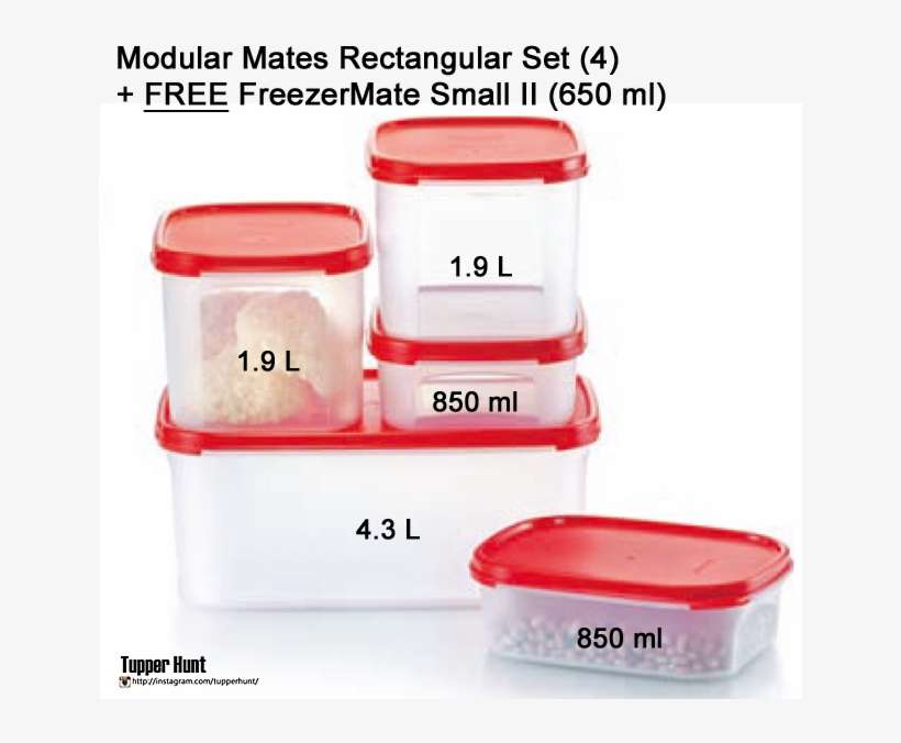 *in Stock* Tupperware® Modular Mates Rectangular Set, - Mm Rectangular ...